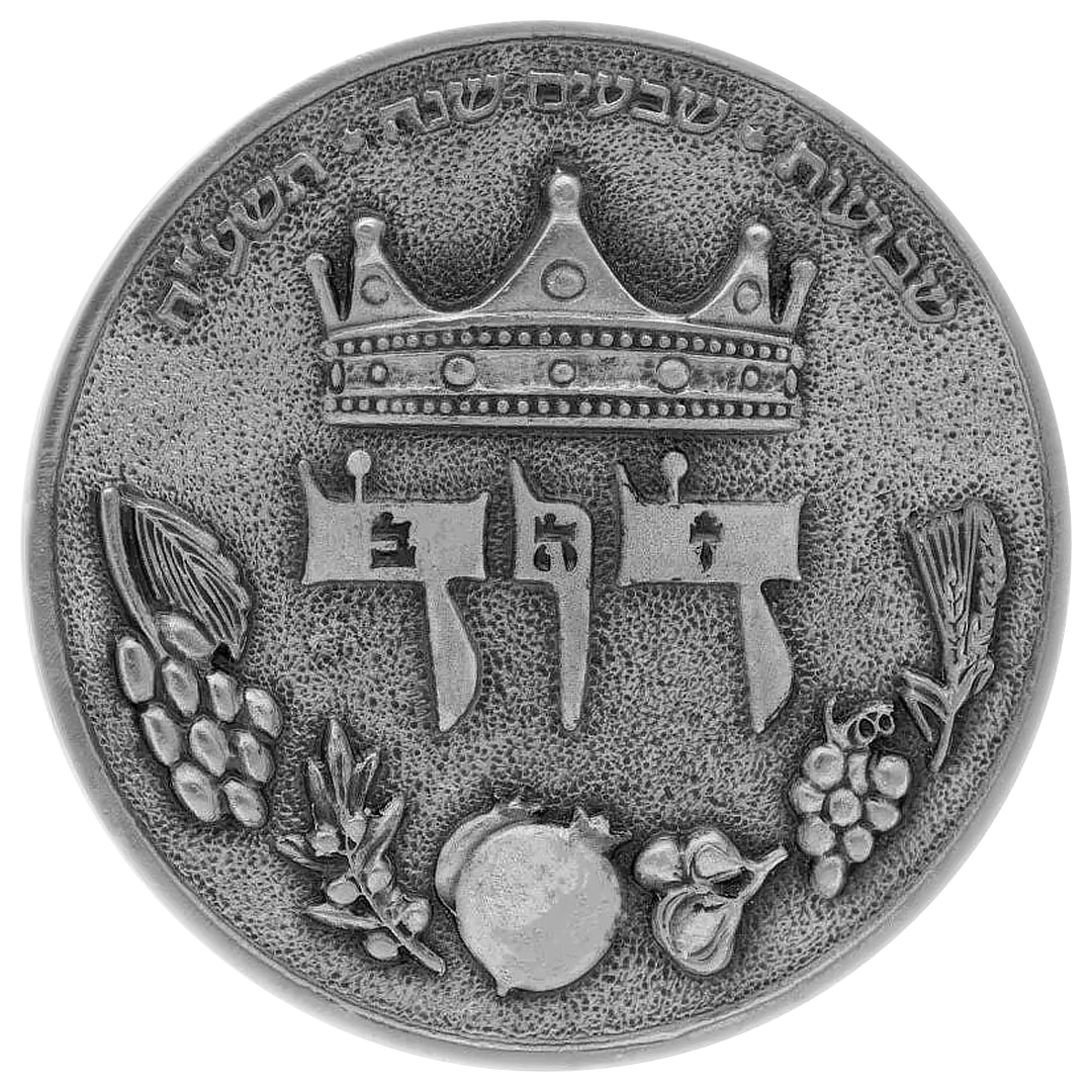 King David Half-Shekel Commemorative Temple Coin - Authentic Original